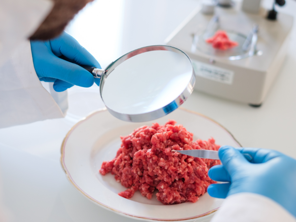 Is kweekvlees wel veilig? | Kweekvlees